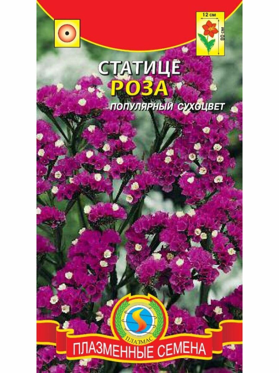 Статице Роза 0,05г, Плазменные семена