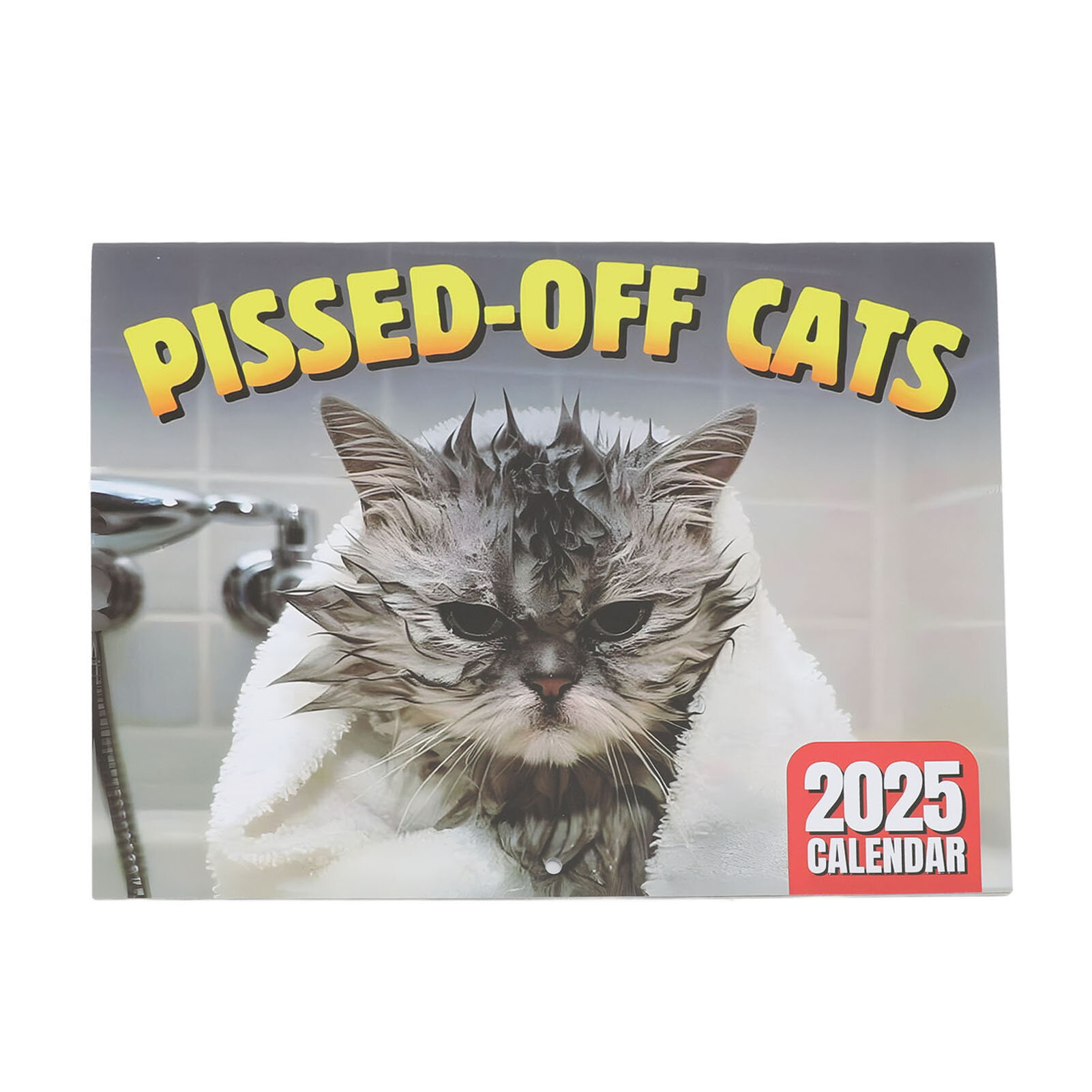 2025 Календарь злой кошки 28,5x21 см. Веселый интересный календарь настенных настенных кошек для любителей домашних животных