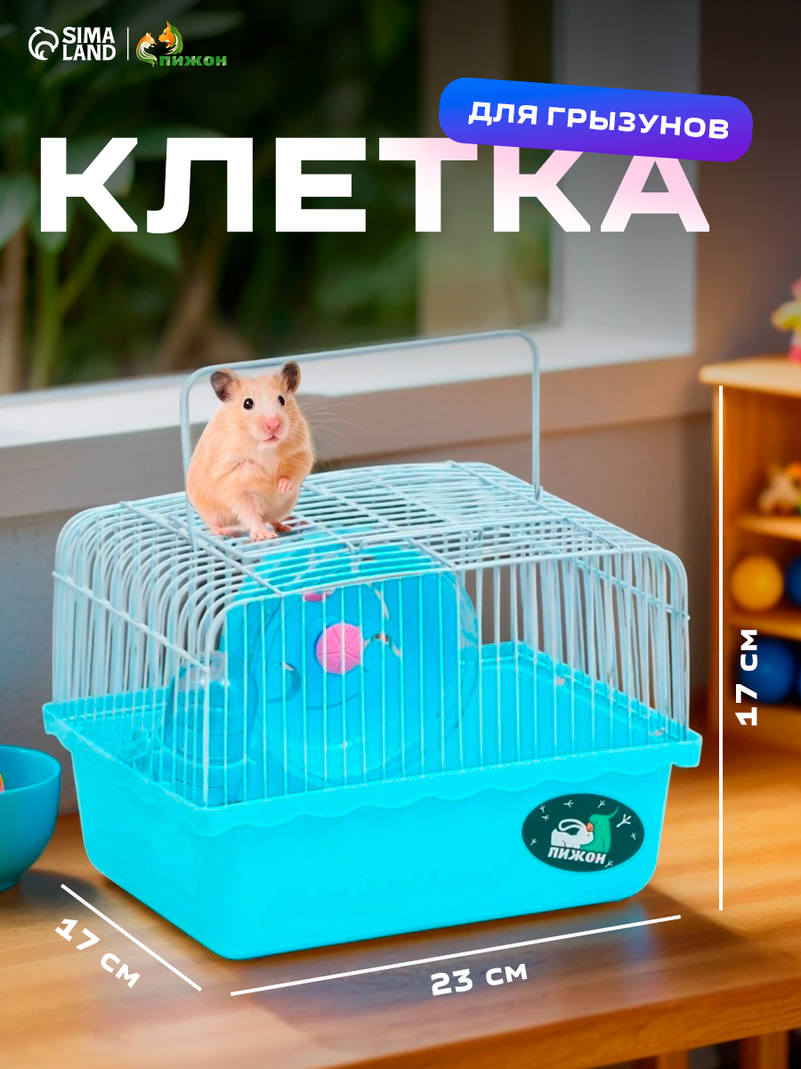 Клетка для грызунов "Пижон", 23 х 17 х 17 см, голубая, металл, пластик