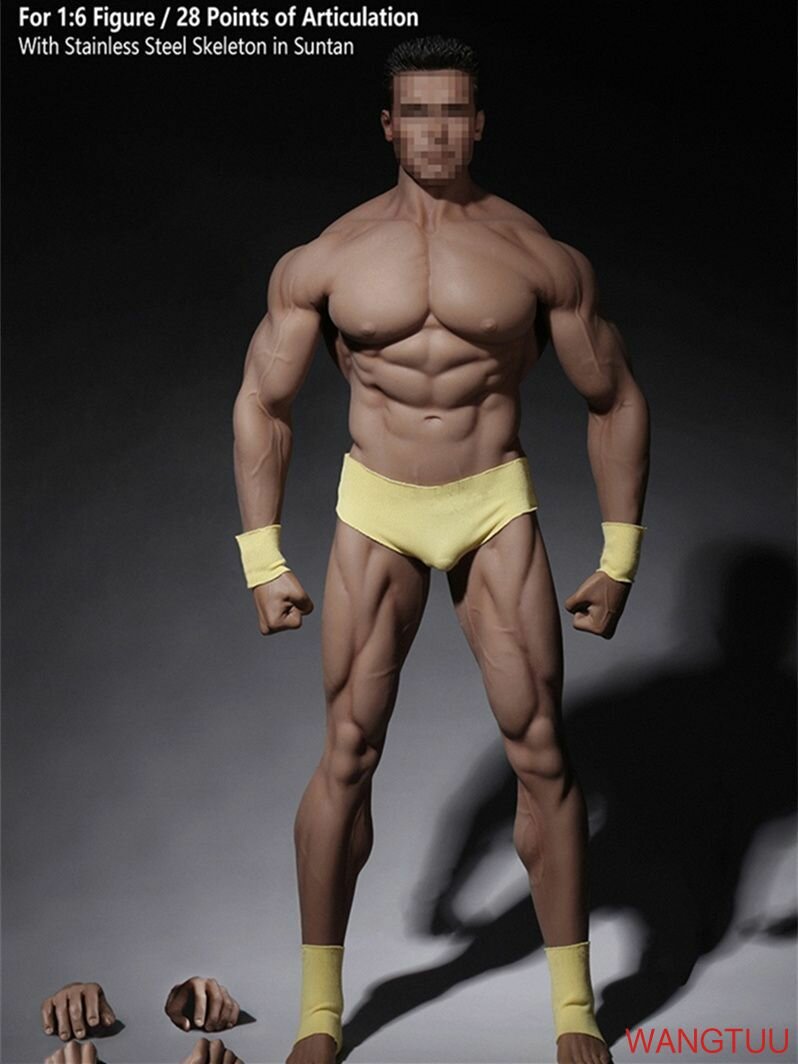 1:6 Бодибилдинг мышцы мужские силиконовые тела игрушка TBleague PL2016-M34