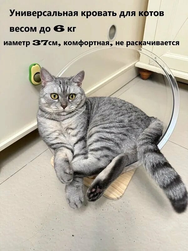 Которая лёгкая кровать для кошек