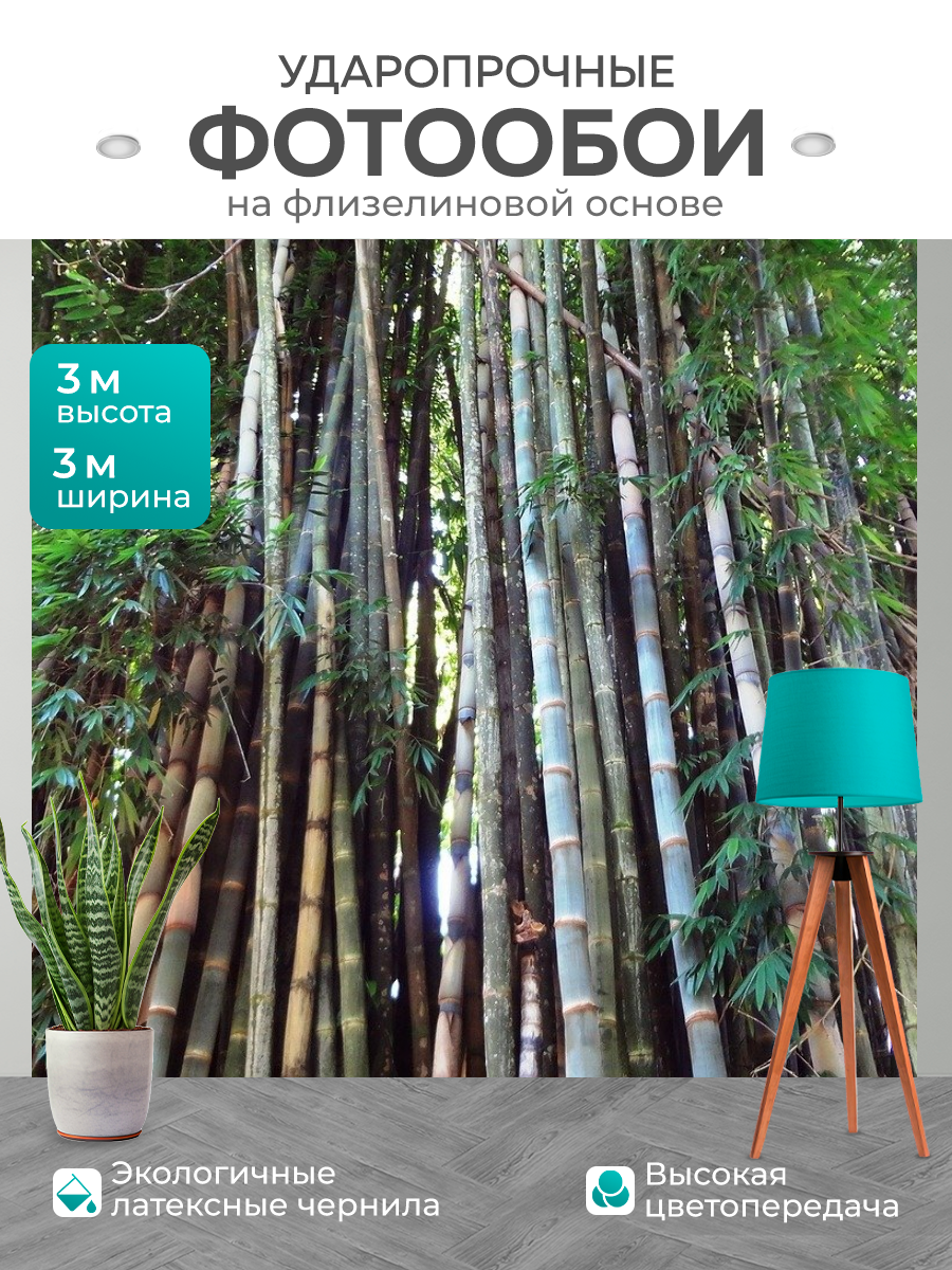 Фотообои моющиеся ударопрочные "Бамбук, бамбуковая роща" 300x300 см. флизелиновые на стену