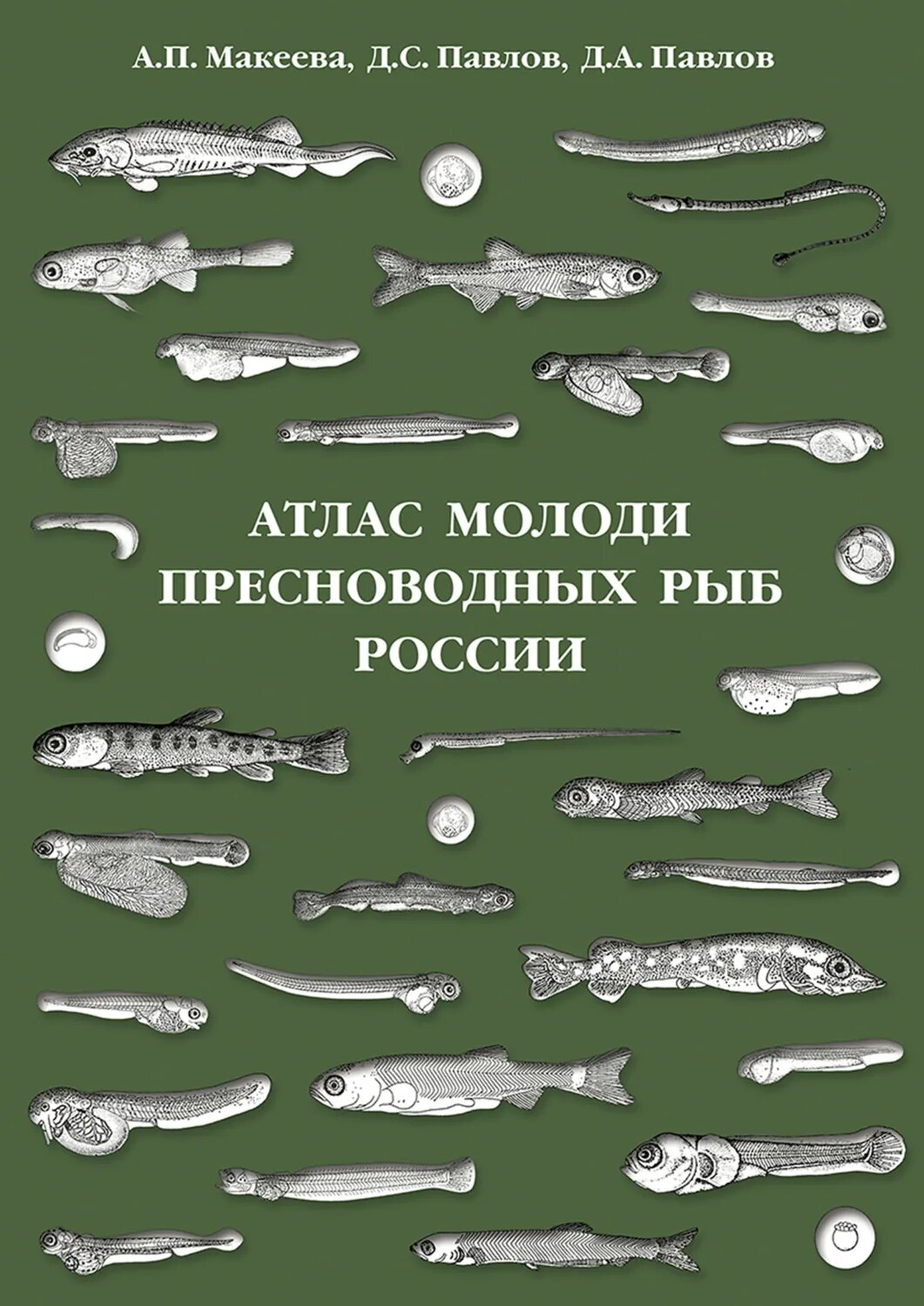 Атлас молоди пресноводных рыб России [Цифровая книга]