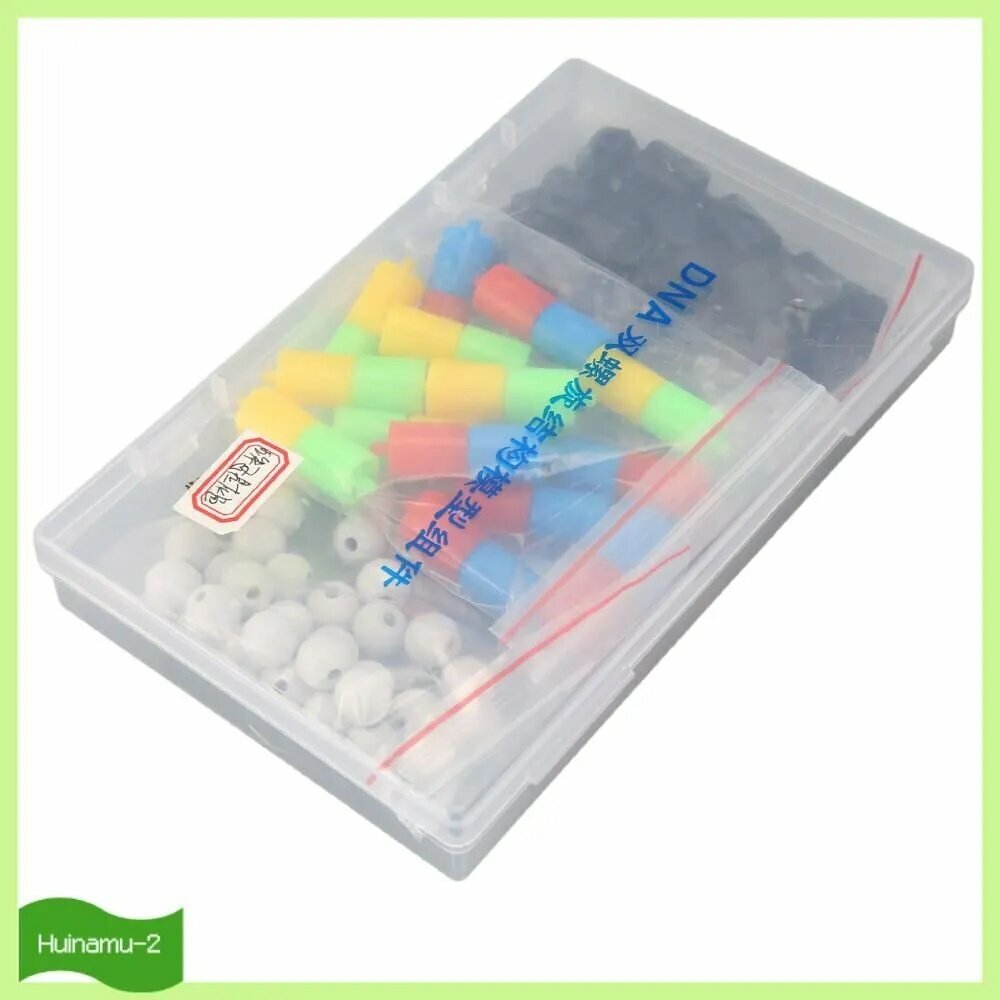 Двойная спираль ДНК, интерактивная модель, для демонстрации в школе