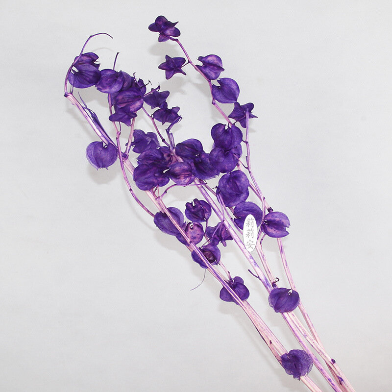 Вечный ветровой колокольчик, фонарь из сухофруктов, свадебное украшение, домашняя цветочная композиция, кислая ягода, настоящий цветок для оконного декора