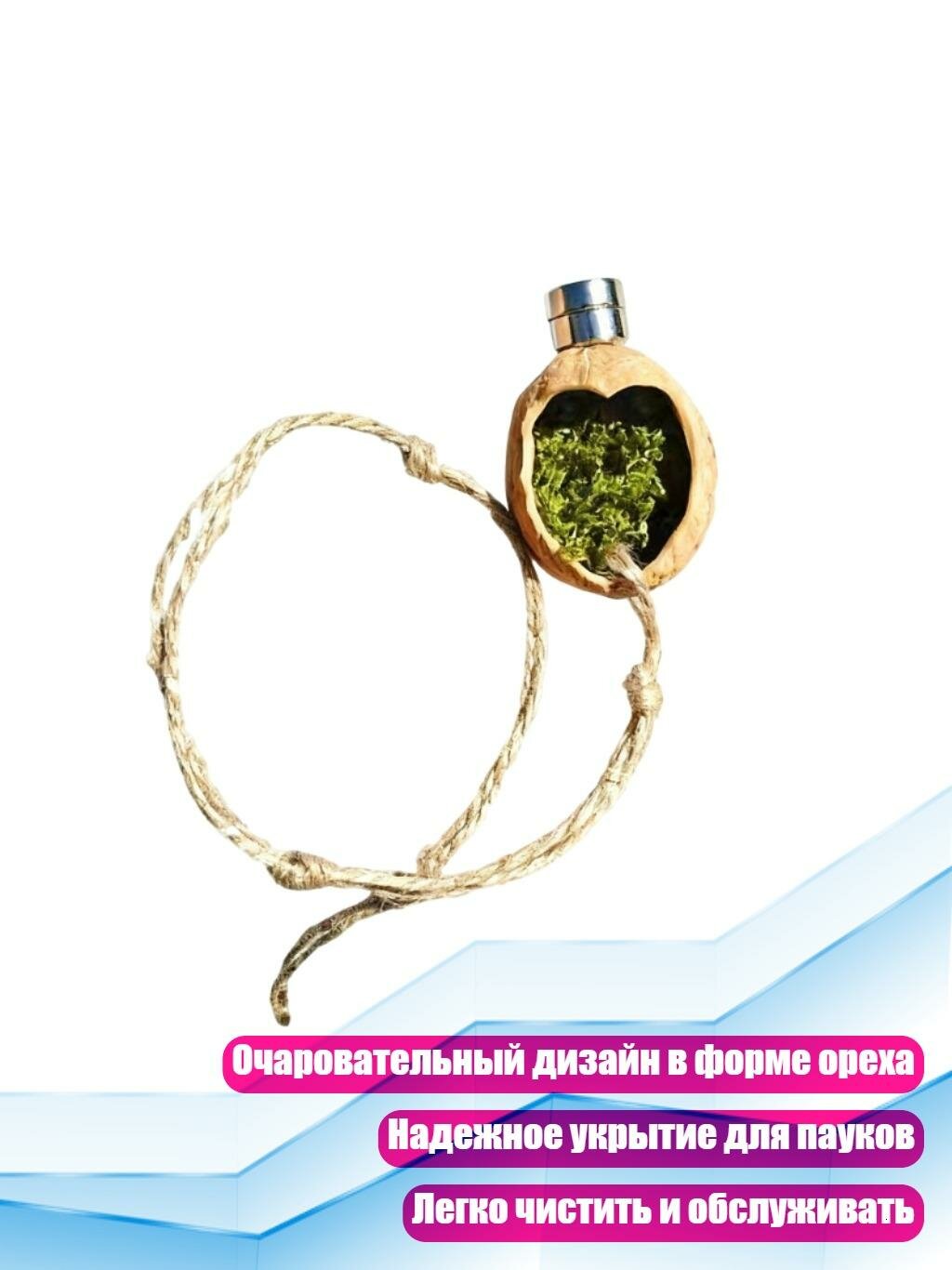 Сердце из грецких орехов с паучками-скакунами