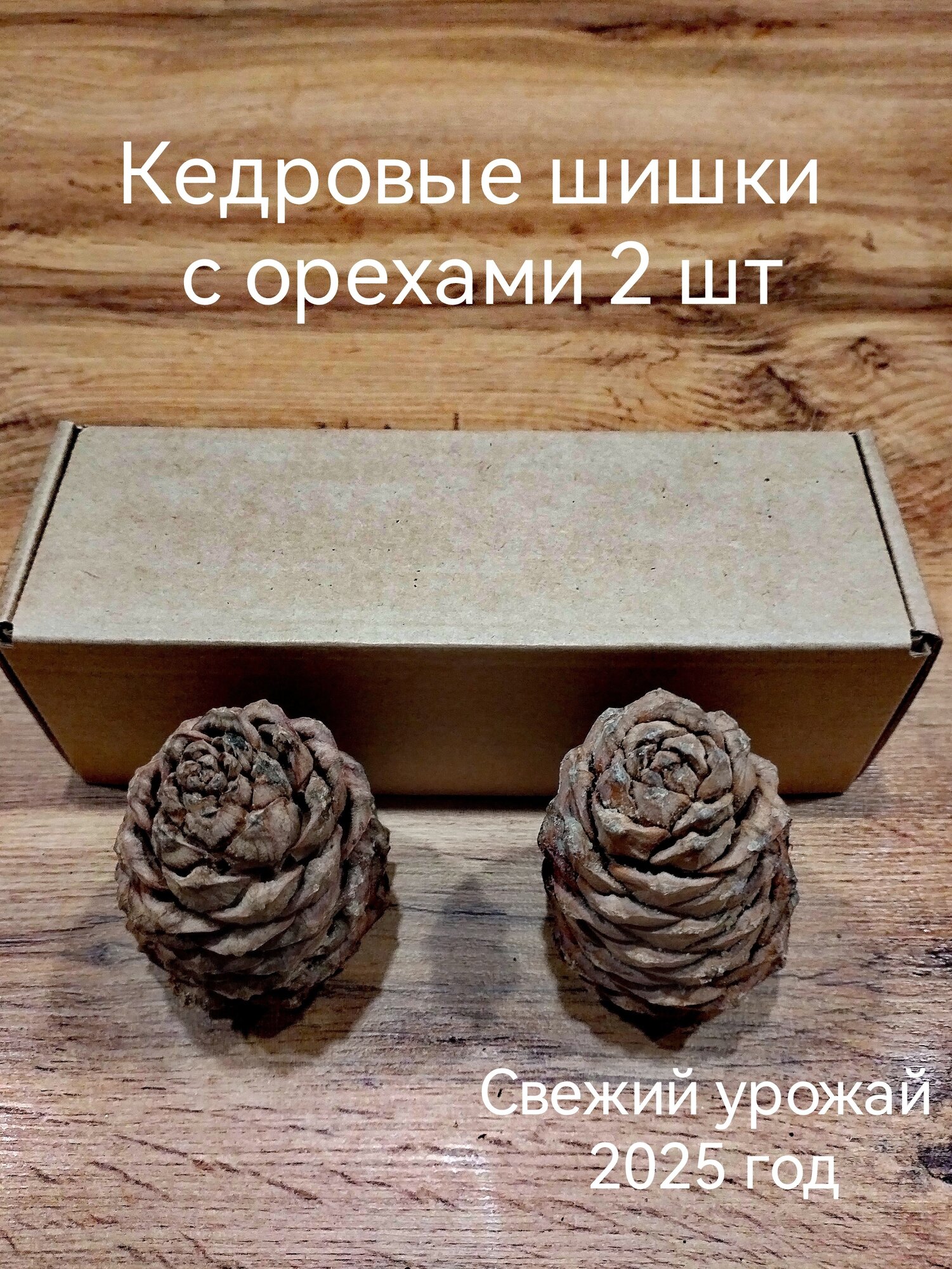 Кедровые шишки с орехами 2 штуки