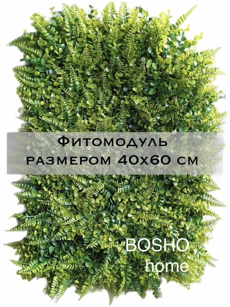 Фитостена модульная из декоративных растений "Крупный папоротник-эвкалипт" в размере 60х40см