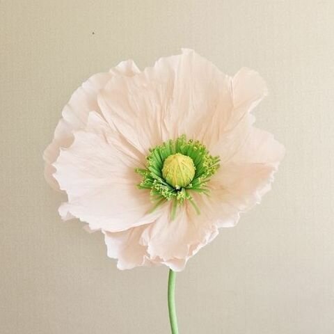 Красивые бумажные цветы, многоцветные маки, гигантские бумажные цветы, искусственные маки, искусственные цветы для оформления сцены