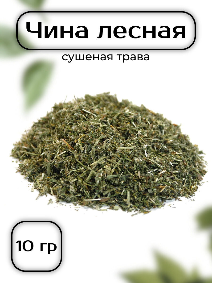 Чина лесная сушеная трава - 10 гр