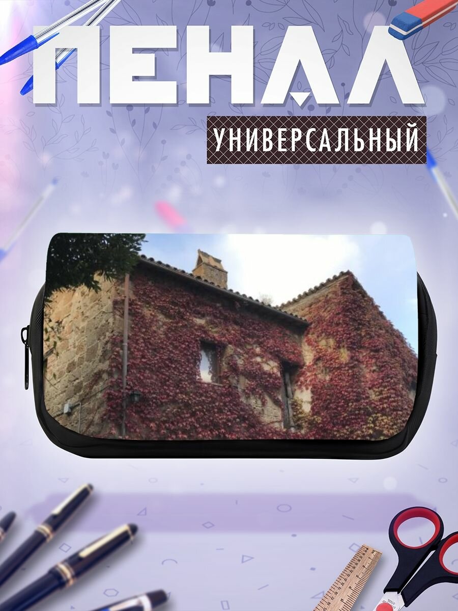 Школьный пенал Хаус здание