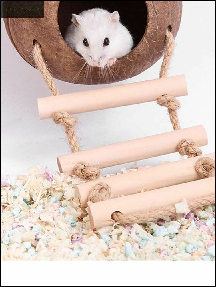 Домик из скорлупы кокоса 1 шт