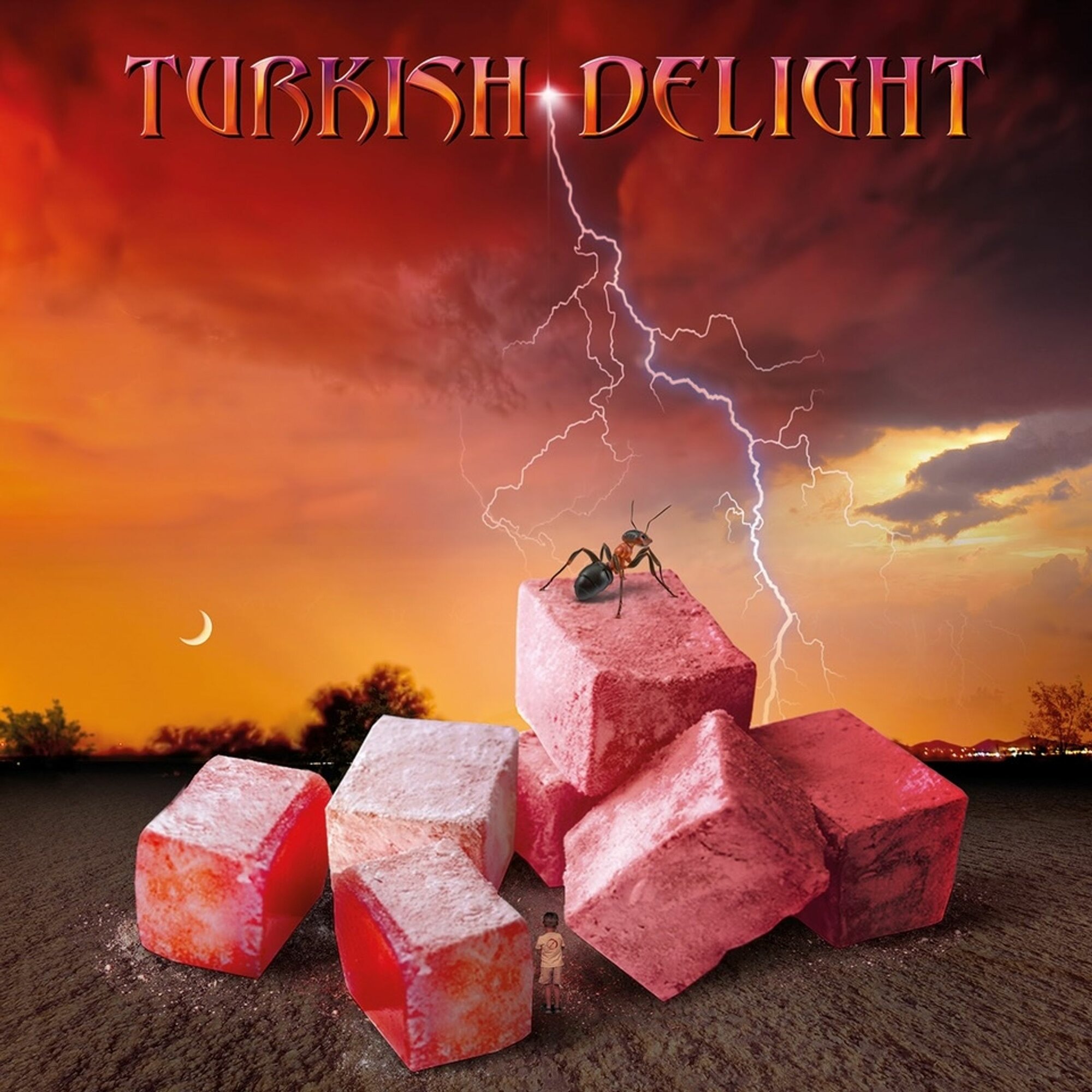 Компакт-диск Turkish Delight - Volume One (CD) (1 CD)