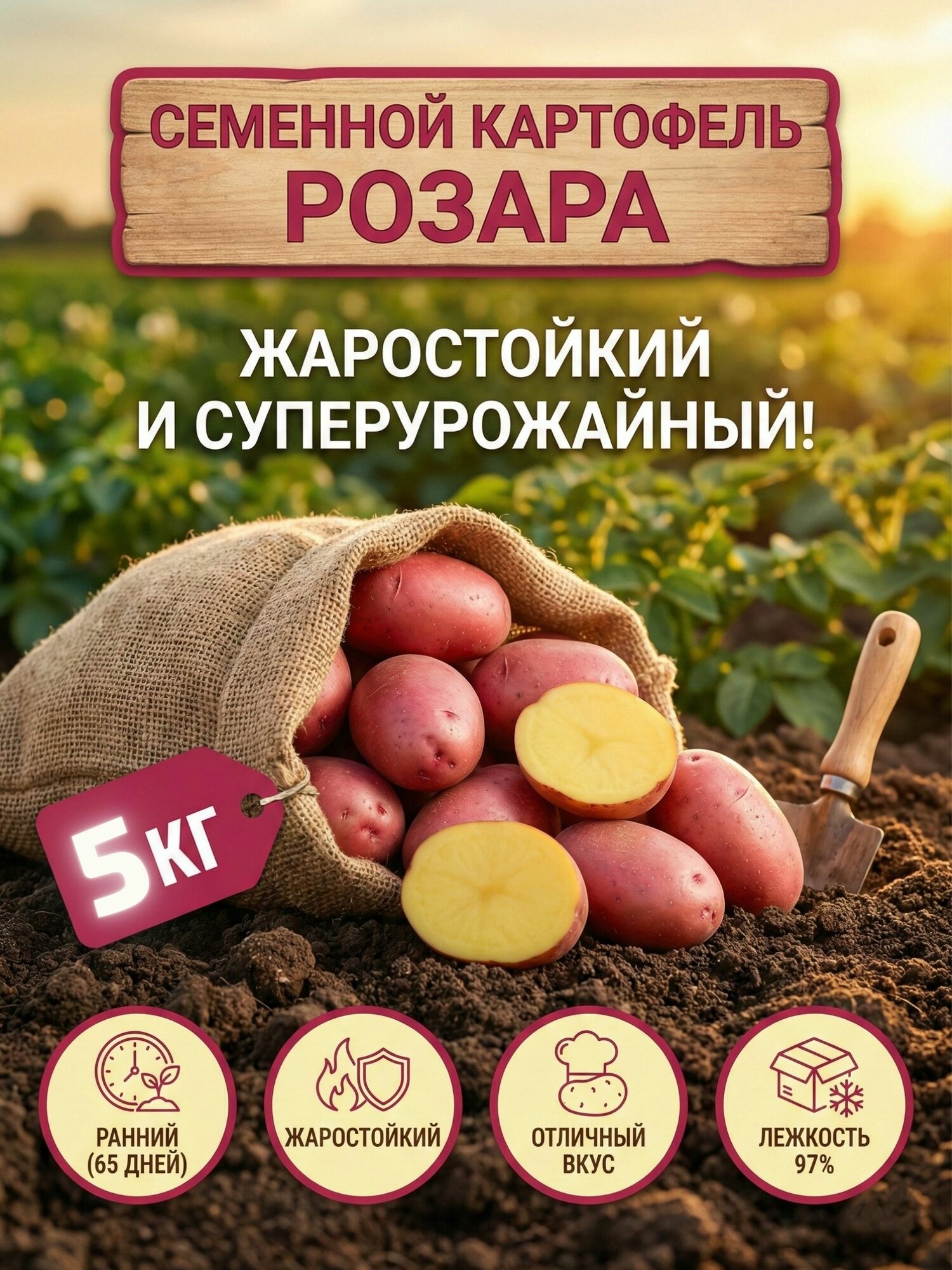 Картофель семенной Розара 5 кг клубни на посадку ранний скороспелый сорт для жарки, супов, салатов