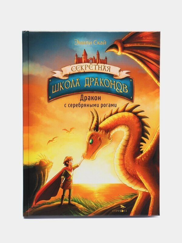 Дракон с серебряными рогами Книга 2
