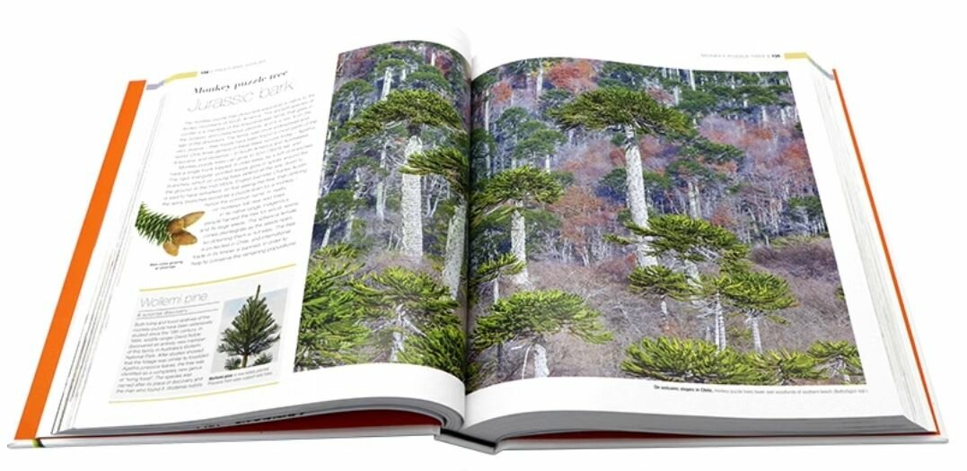 Печатная книга — фото 1