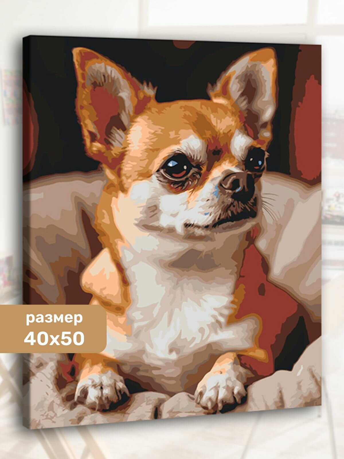 Картина по номерам, на холсте с подрамником 40х50, чихуахуа рыжий