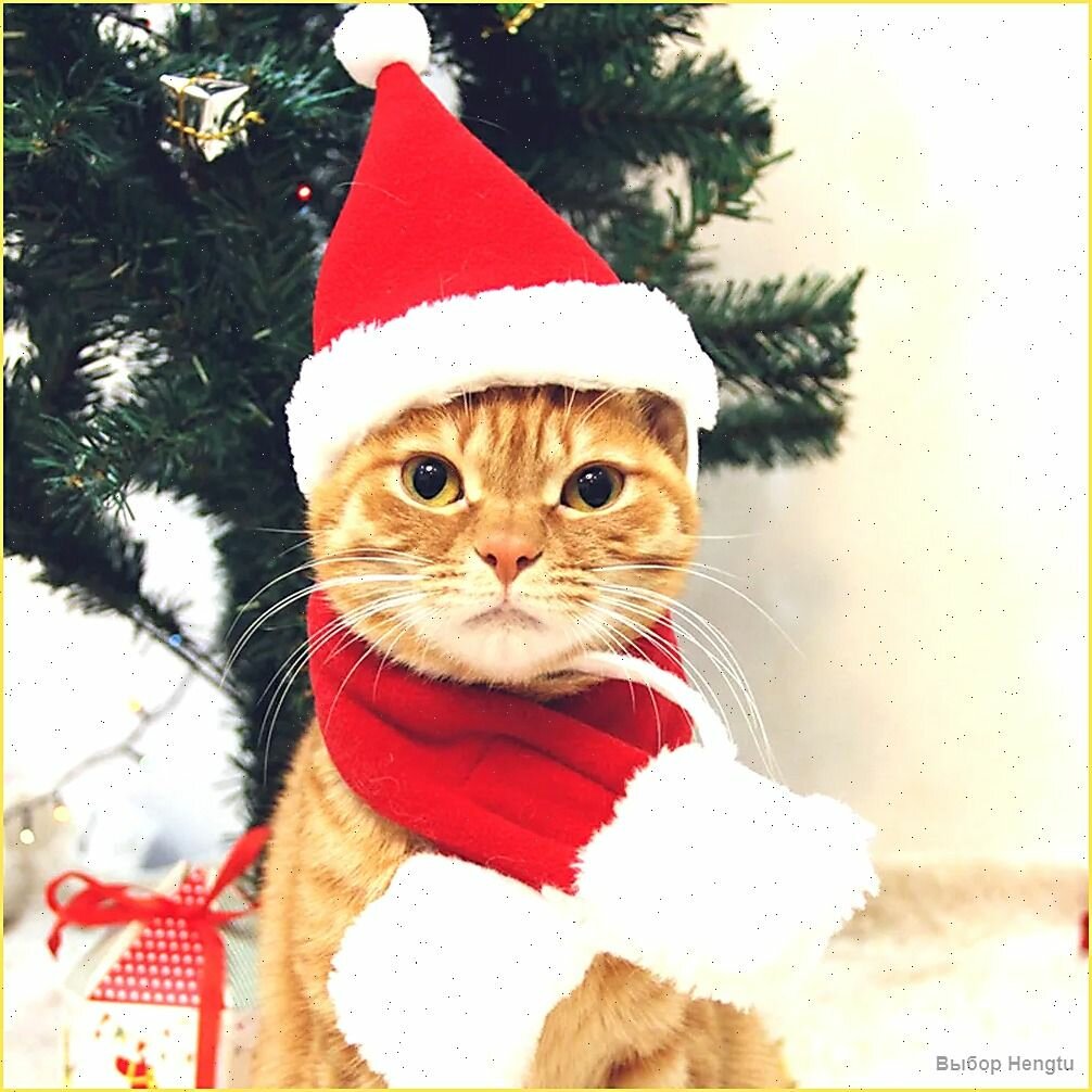 Новогодний рождественский набор-подарок из шапки-колпака и шарфа для кошек, собак и других животных , размер S