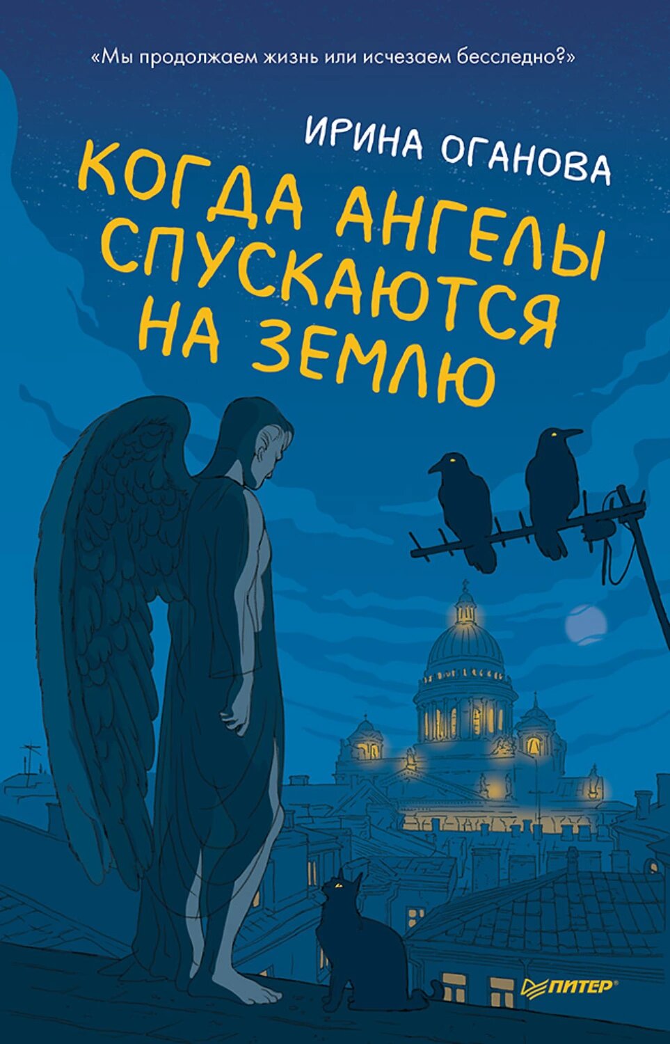 Когда ангелы спускаются на землю [Цифровая книга]