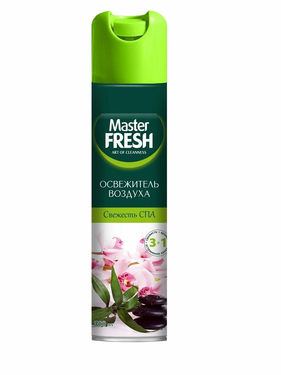 Освежитель воздуха Мастер Фреш Свежесть спа 300мл
