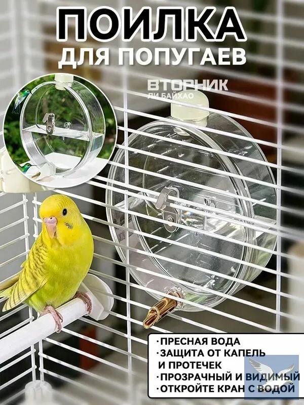 Поилка для попугаев в клетку, большая емкость и защита от капель и протечек делают питьевую воду для домашних животных более полезной