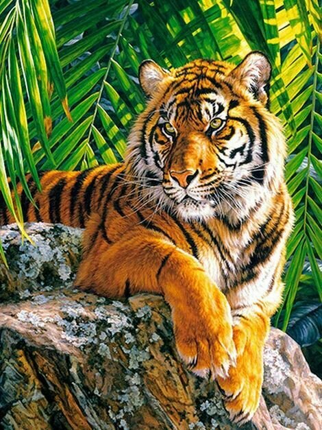 Алмазная картина "Лев Тигр" алмазная огранка 40х50 см,40X50CM, белый