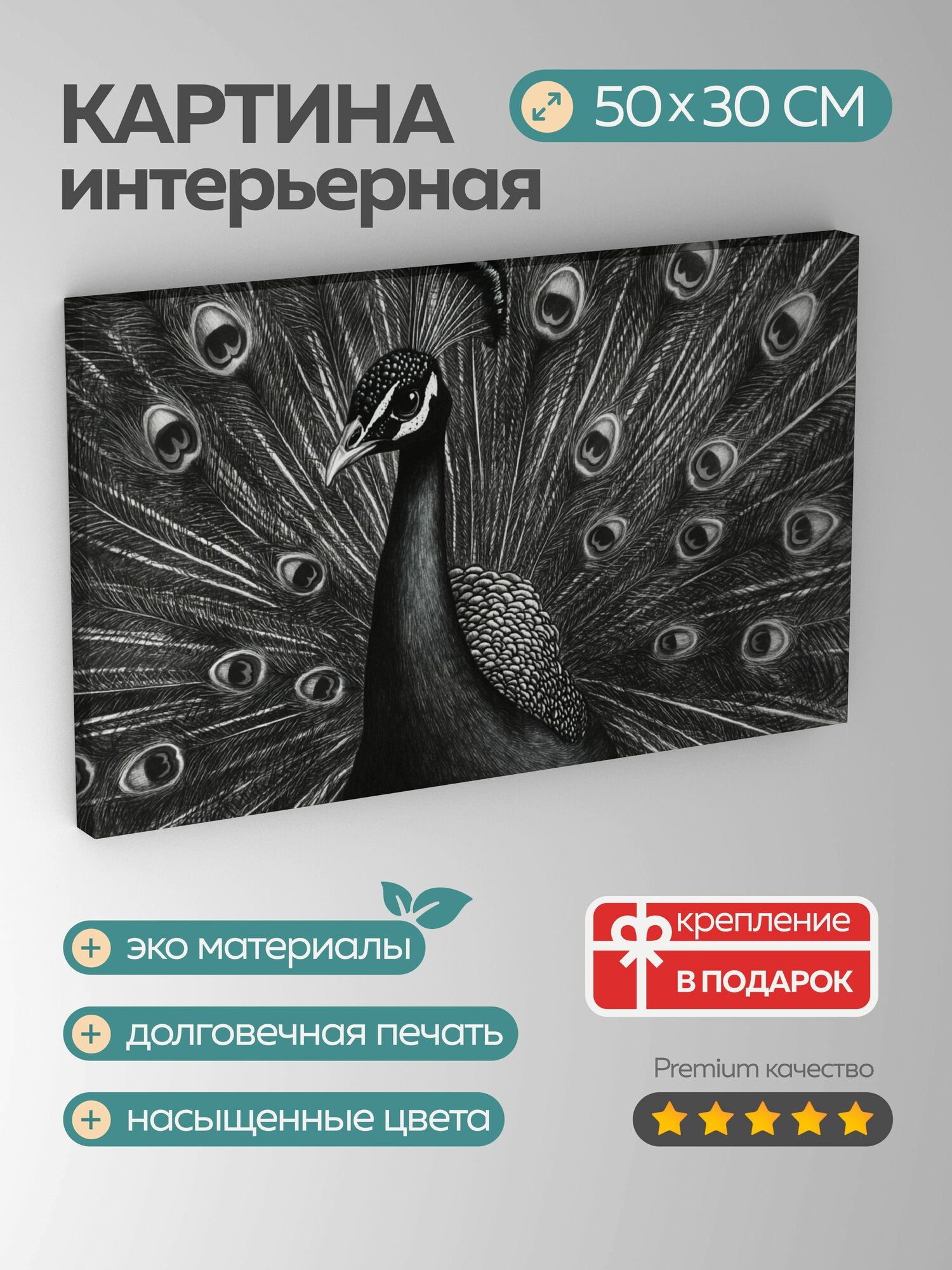 Картина на холсте интерьерная 50х30 см, Павлин, уголь, перья, величественный, детальный, рисунок, красота, великолепие