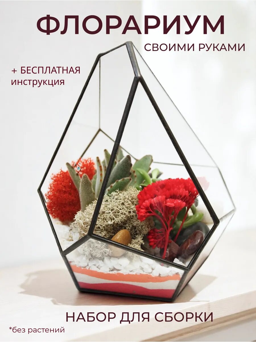 Флорариум набор для сборки Планта