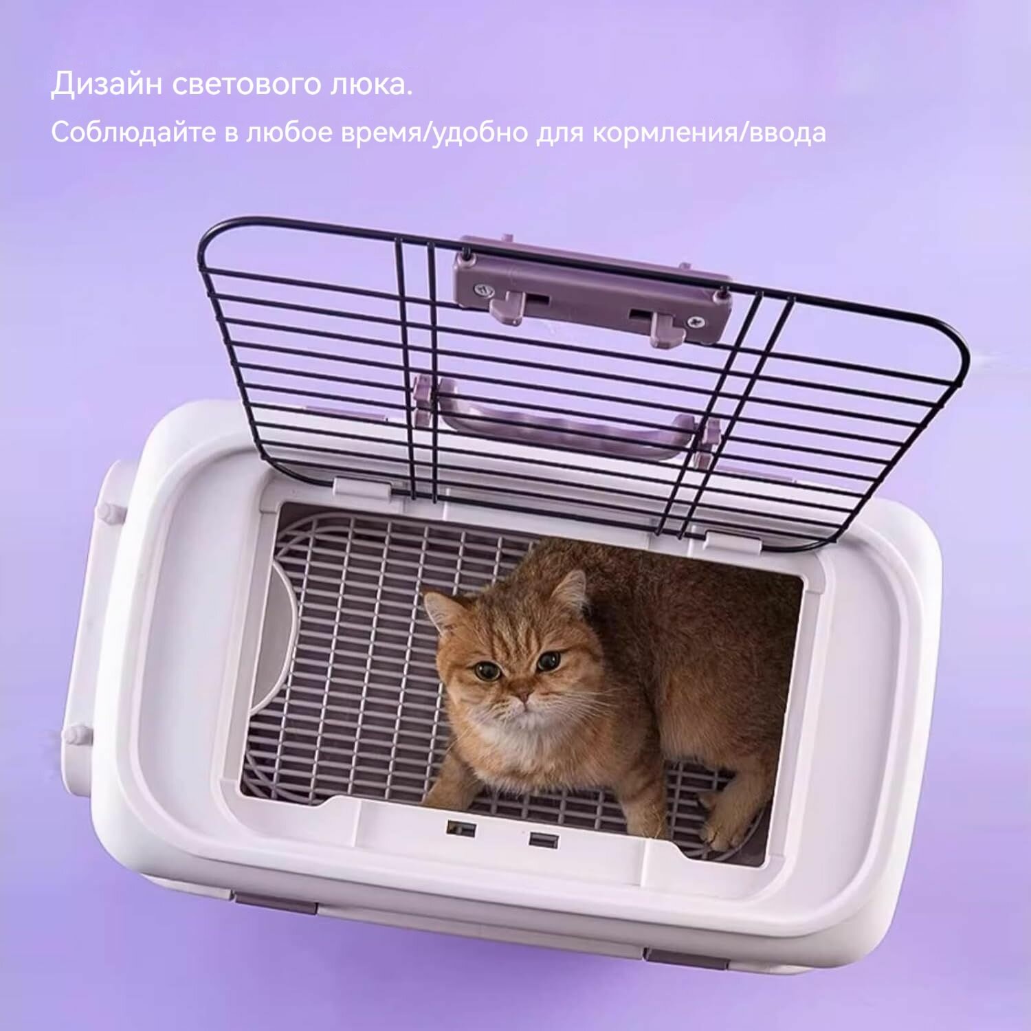 Переноска — фото 1