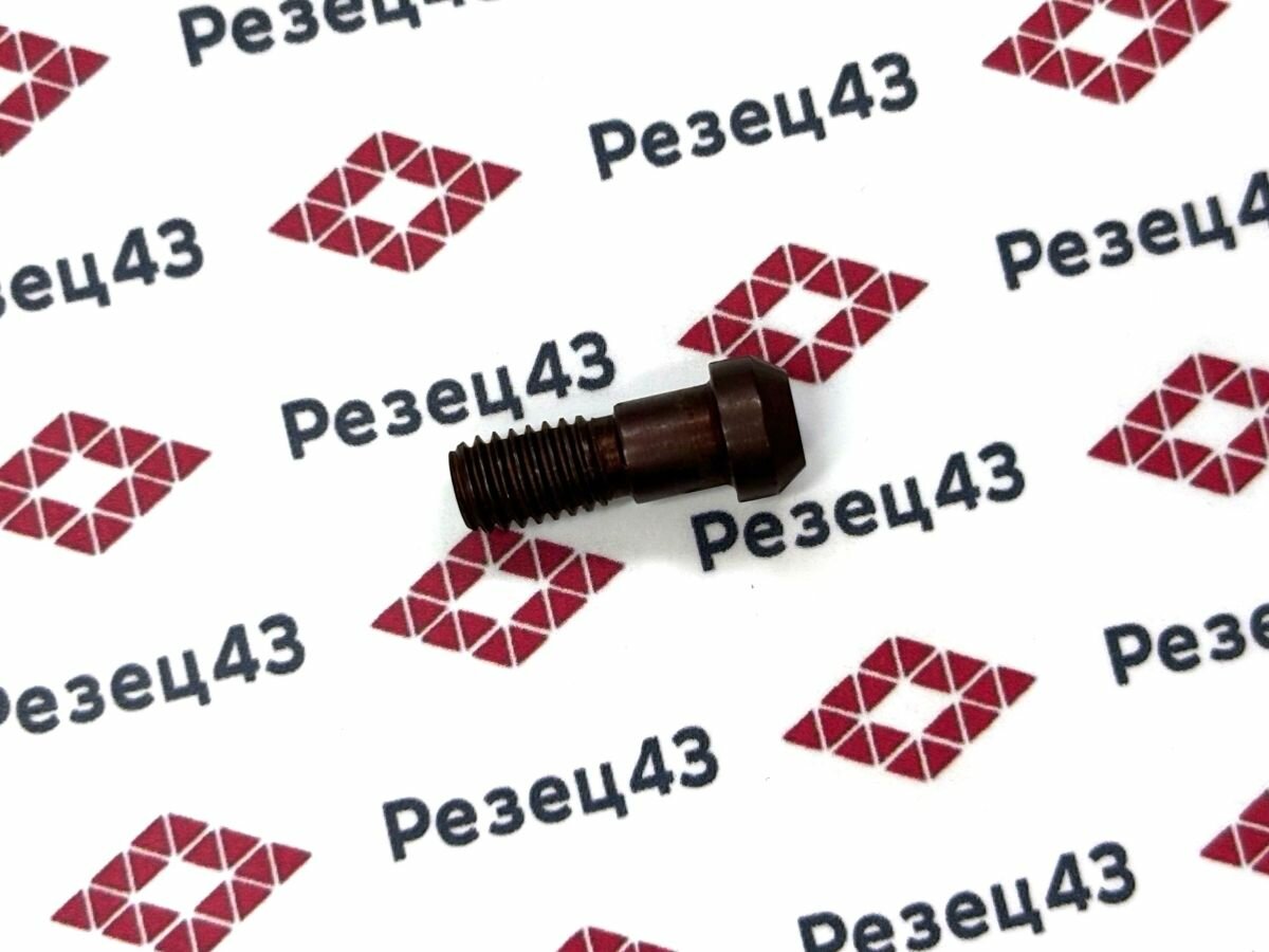 Винт М6х20 для крепления пластин