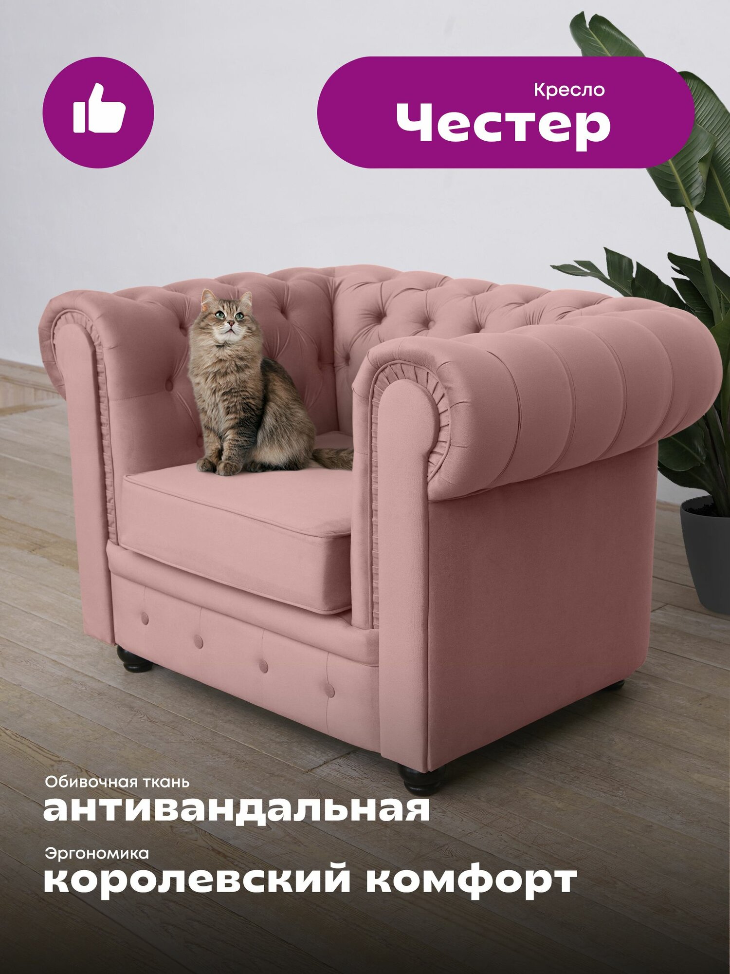 Мягкое кресло для отдыха в гостиную "Честер", антивандальная ткань пудровый Teddy 026