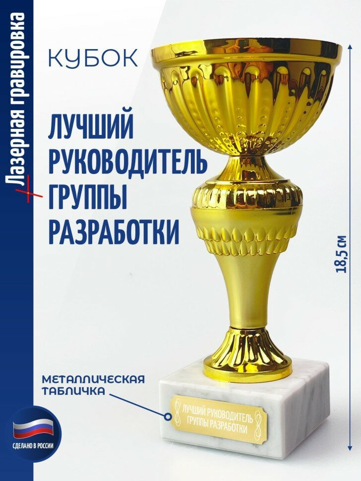 Кубок "Лучший руководитель группы разработки" (18,4 см)