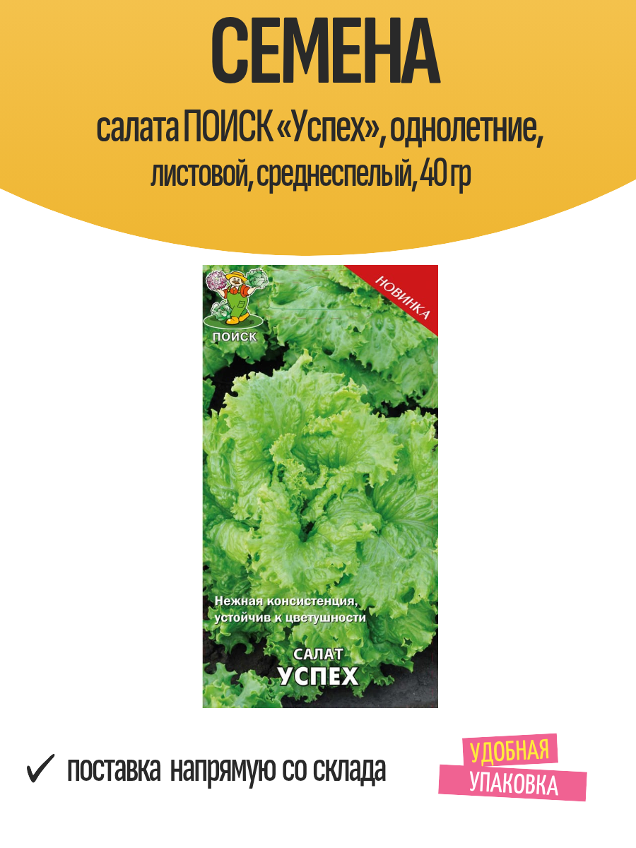 Семена салата поиск «Успех», однолетние, листовой, среднеспелый, 40 гр