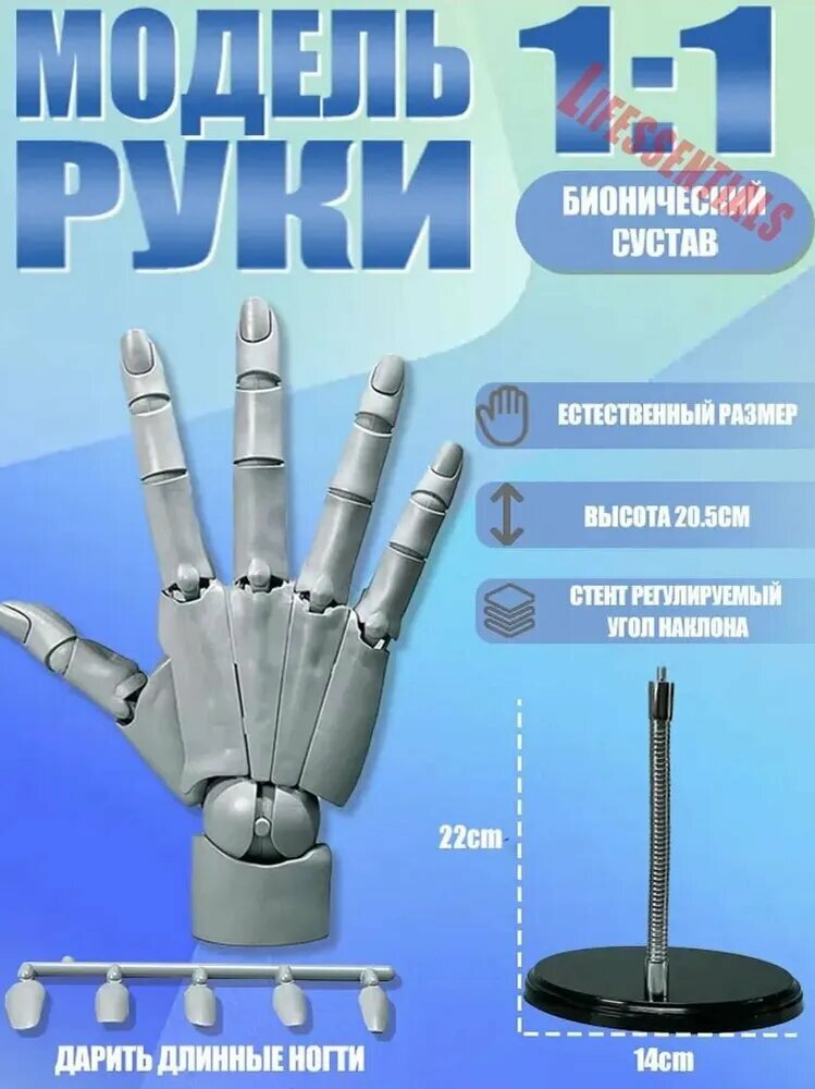 Модель руки манекен художественный, бионические суставы, 1:1