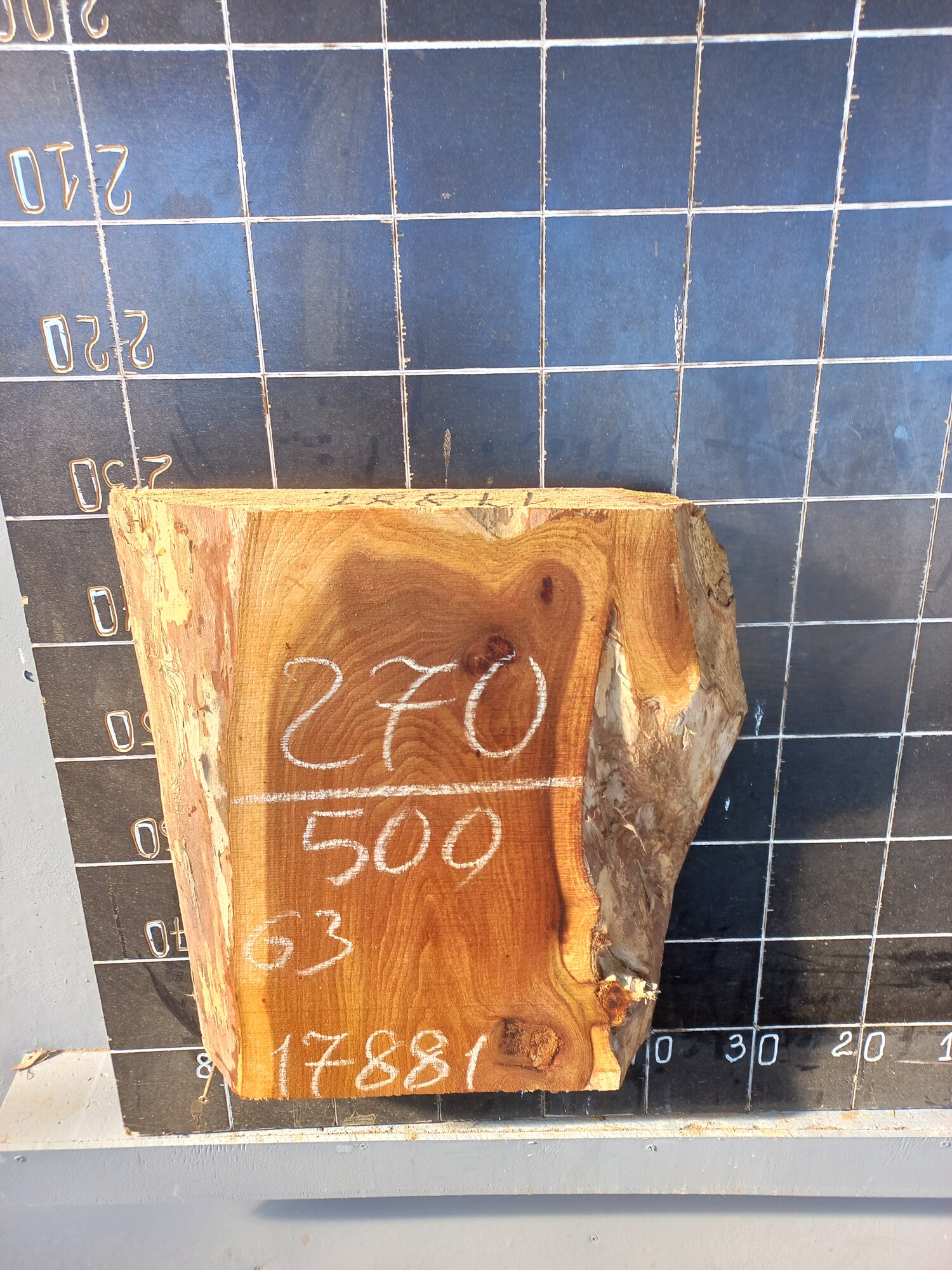 Слэб натурального дерева ценных пород Карагач №17881, 6*27*50 см, доклес