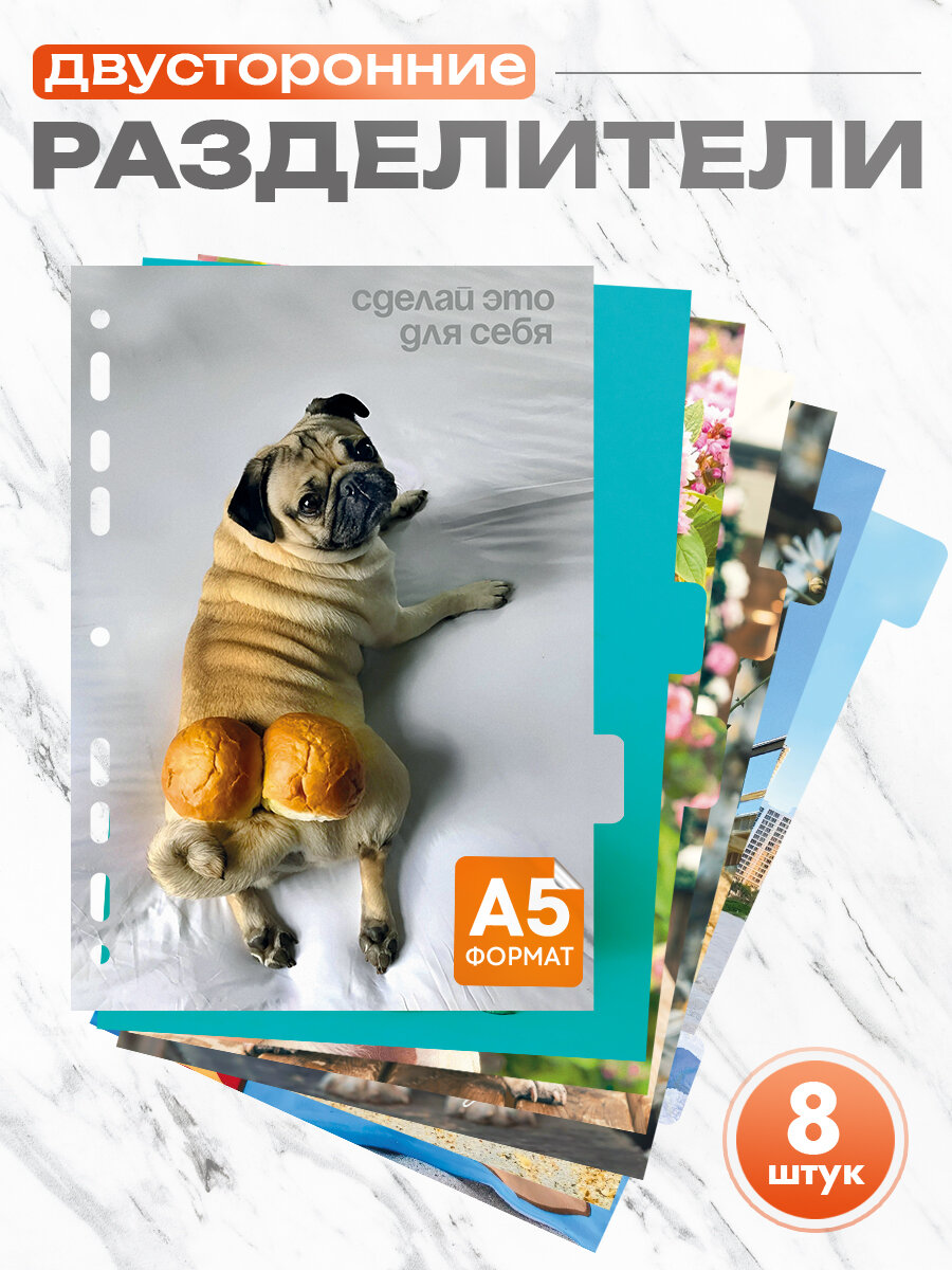 Разделители для тетради на кольцах А5 Мопсы, набор 8 шт, универсальная перфорация