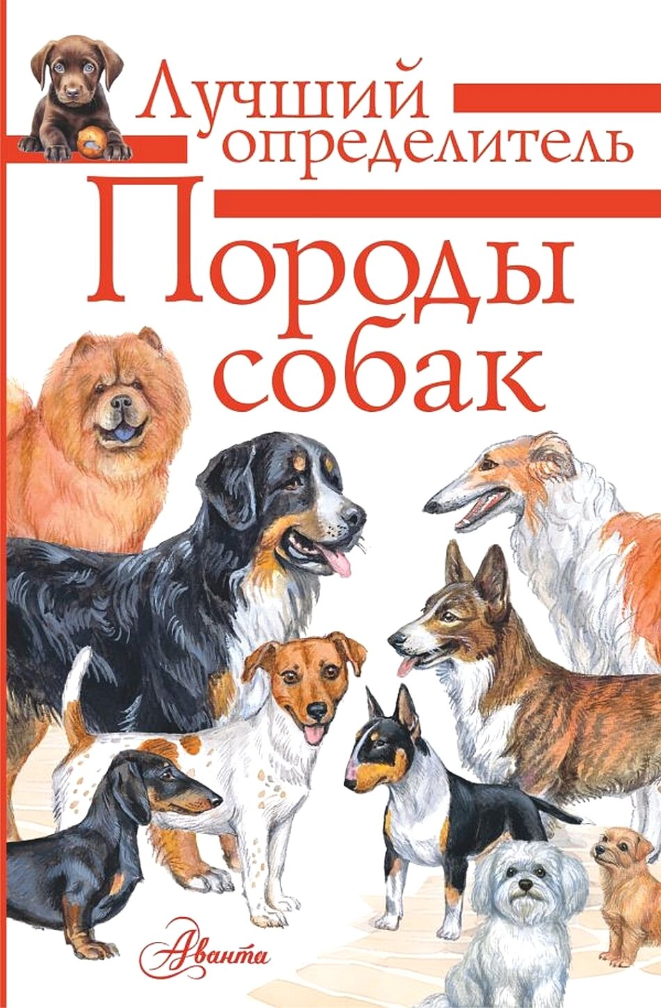 Породы собак. Определитель
