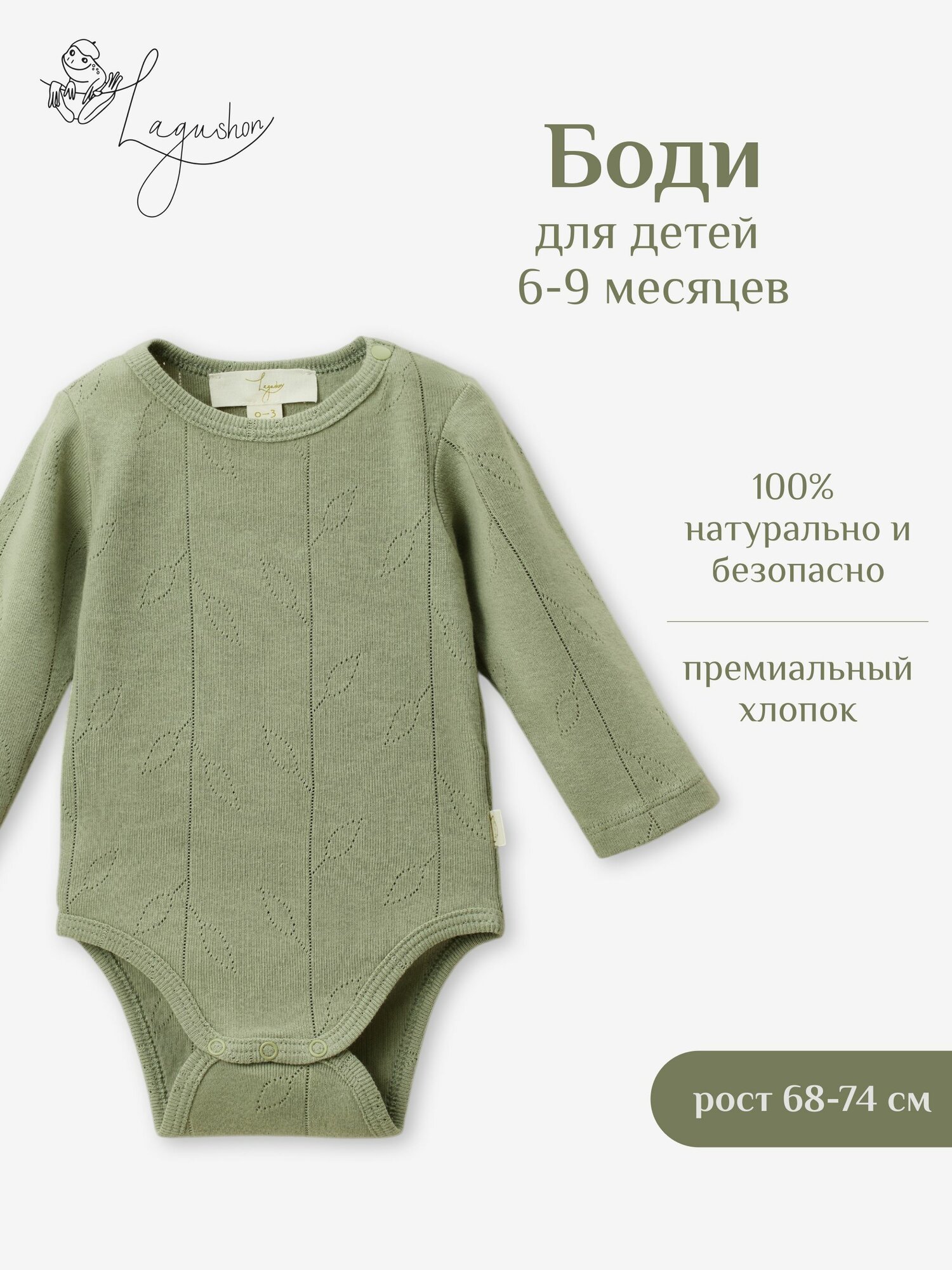 Боди