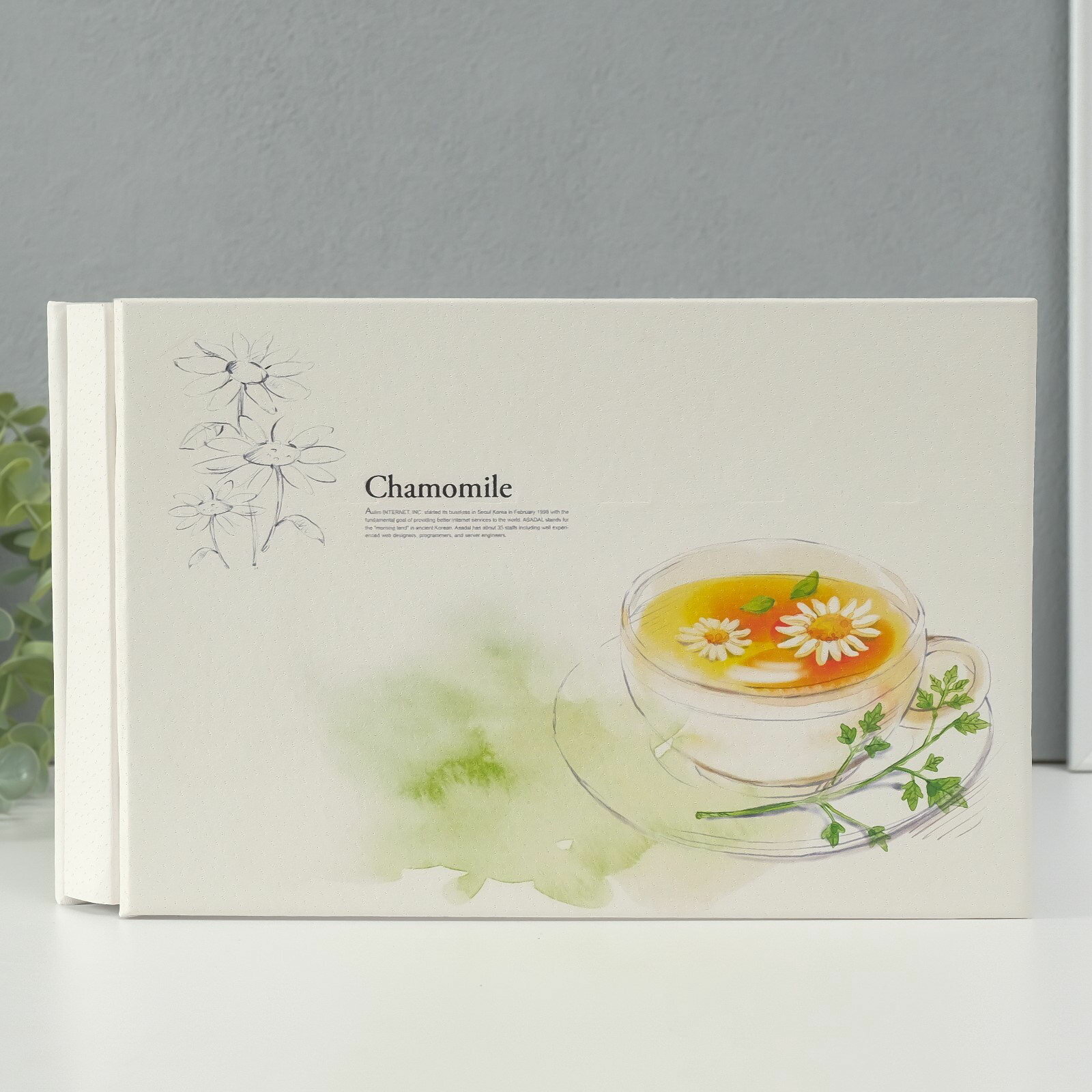 Фотоальбом на 100 фото кожзам 10x15 см "Ромашковый чай", в коробке, 4x26x18 см
