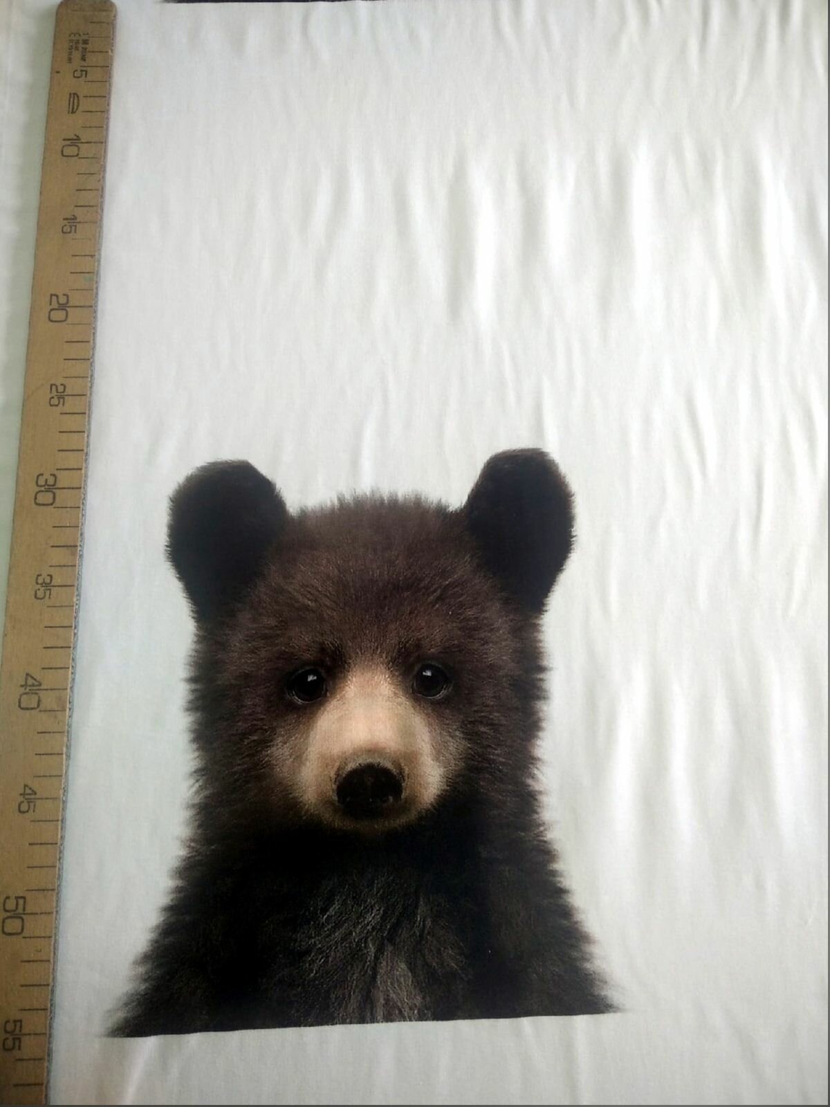 Трикотаж, кулирка с лайкрой купон "Медведь", ткань для шитья, 53*180