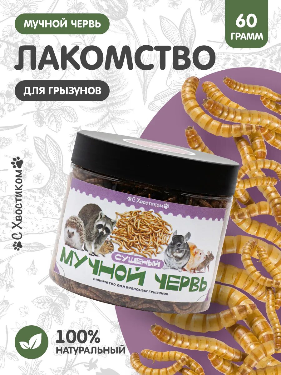 Мучной червь для крыс птиц грызунов