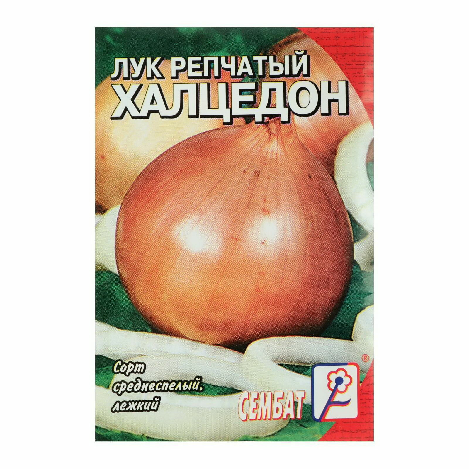 Семена Лук репчатый "Халцедон", 0.5 г, посев (посадка) в грунт: апрель, 4 шт.