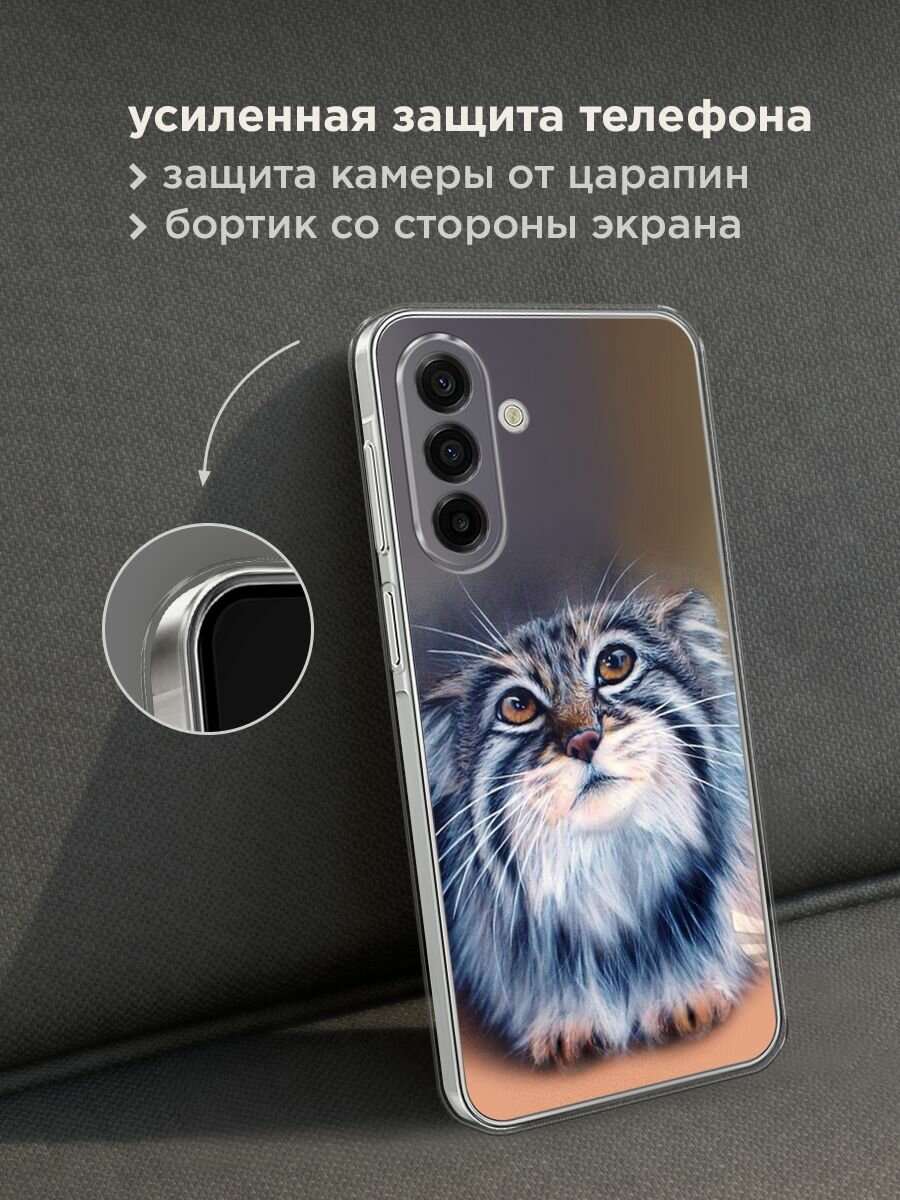 Чехол на Samsung Galaxy A17 / Самсунг А17 с принтом "Кот манул 2" — фото 1