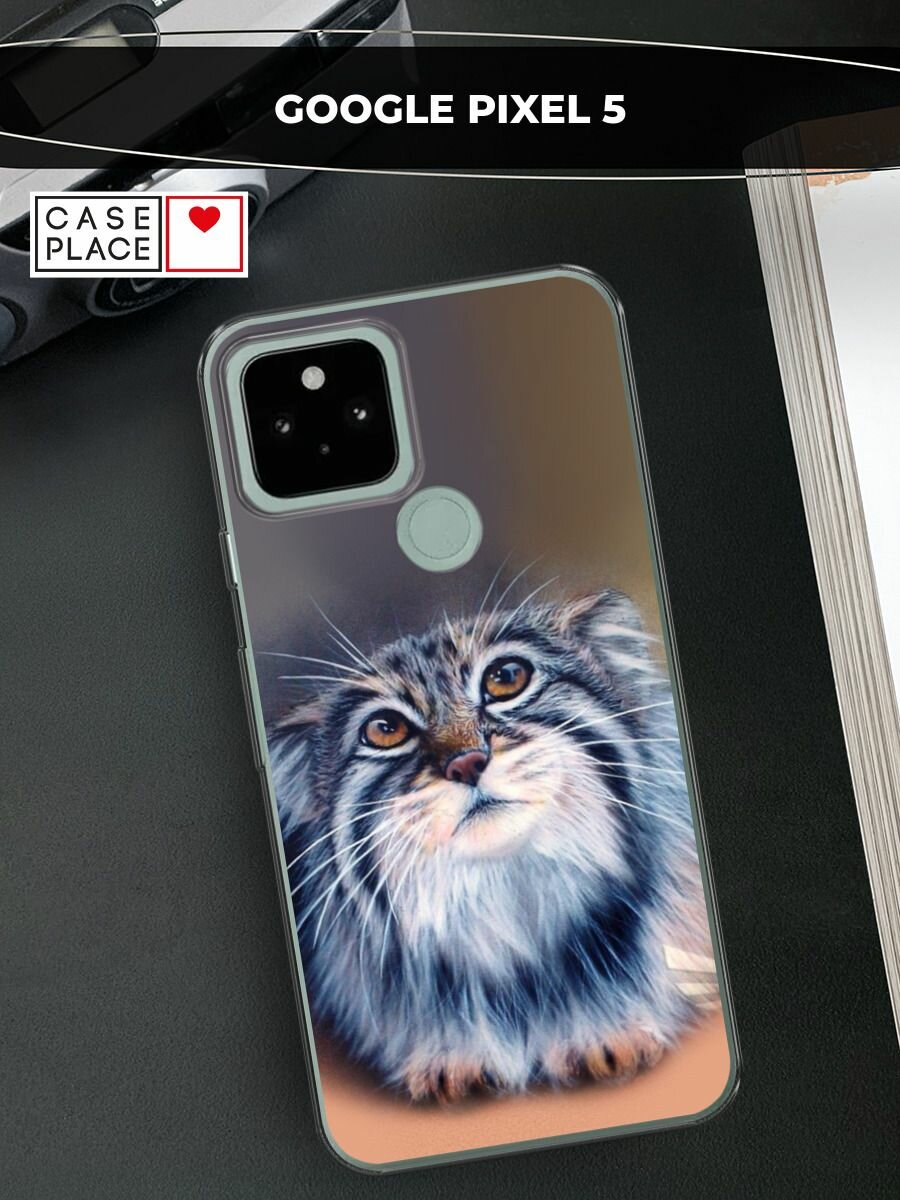 Чехол на Google Pixel 5 / Гугл Пиксель 5 с принтом "Кот манул 2"