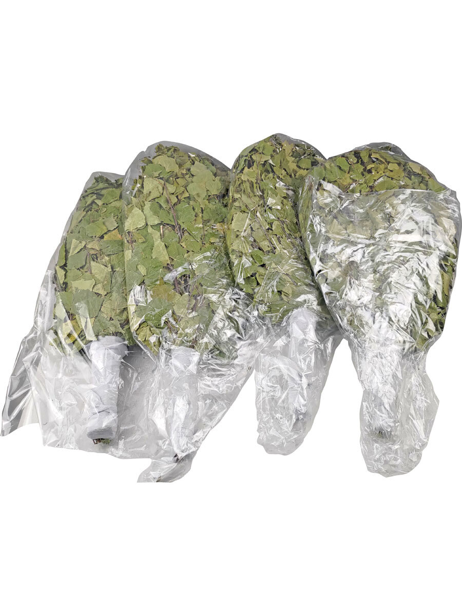 Набор веников из берёзы (4 шт.) Суши Веник, для бани, урожай 2025