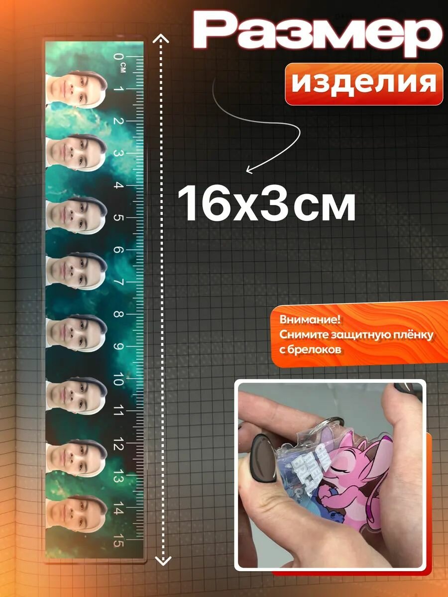 Набор линеек Зверополис — фото 1