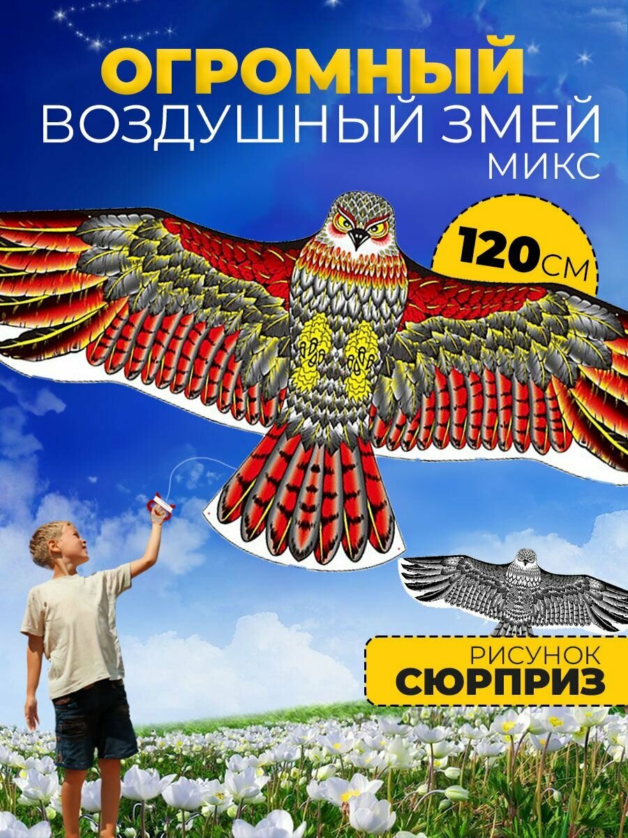 Воздушный Змей для ребенка большой Сокол