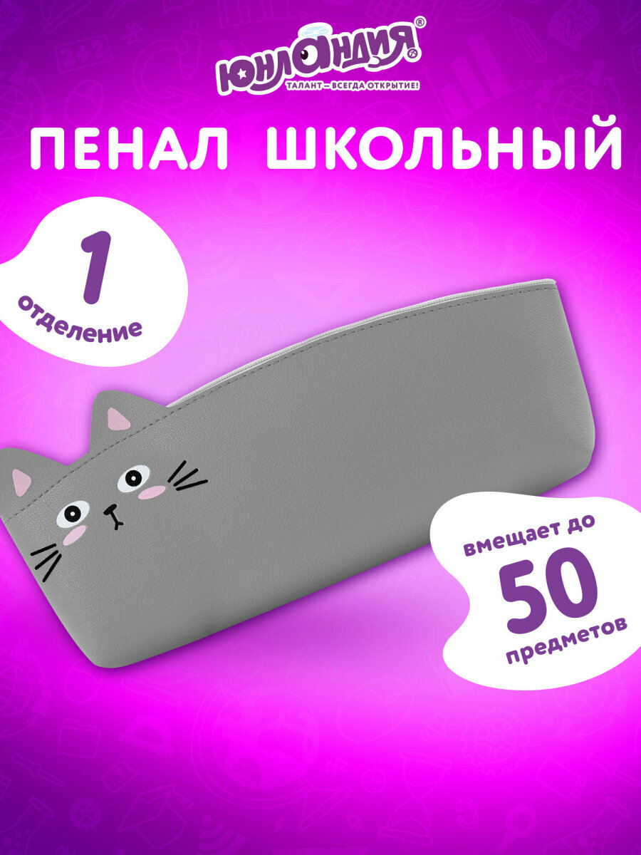 Пенал школьный для девочек, для карандашей и ручек с 1 отделением, канцелярия для школы, искусственная кожа, 20х9х7 см, Юнландия, 273819