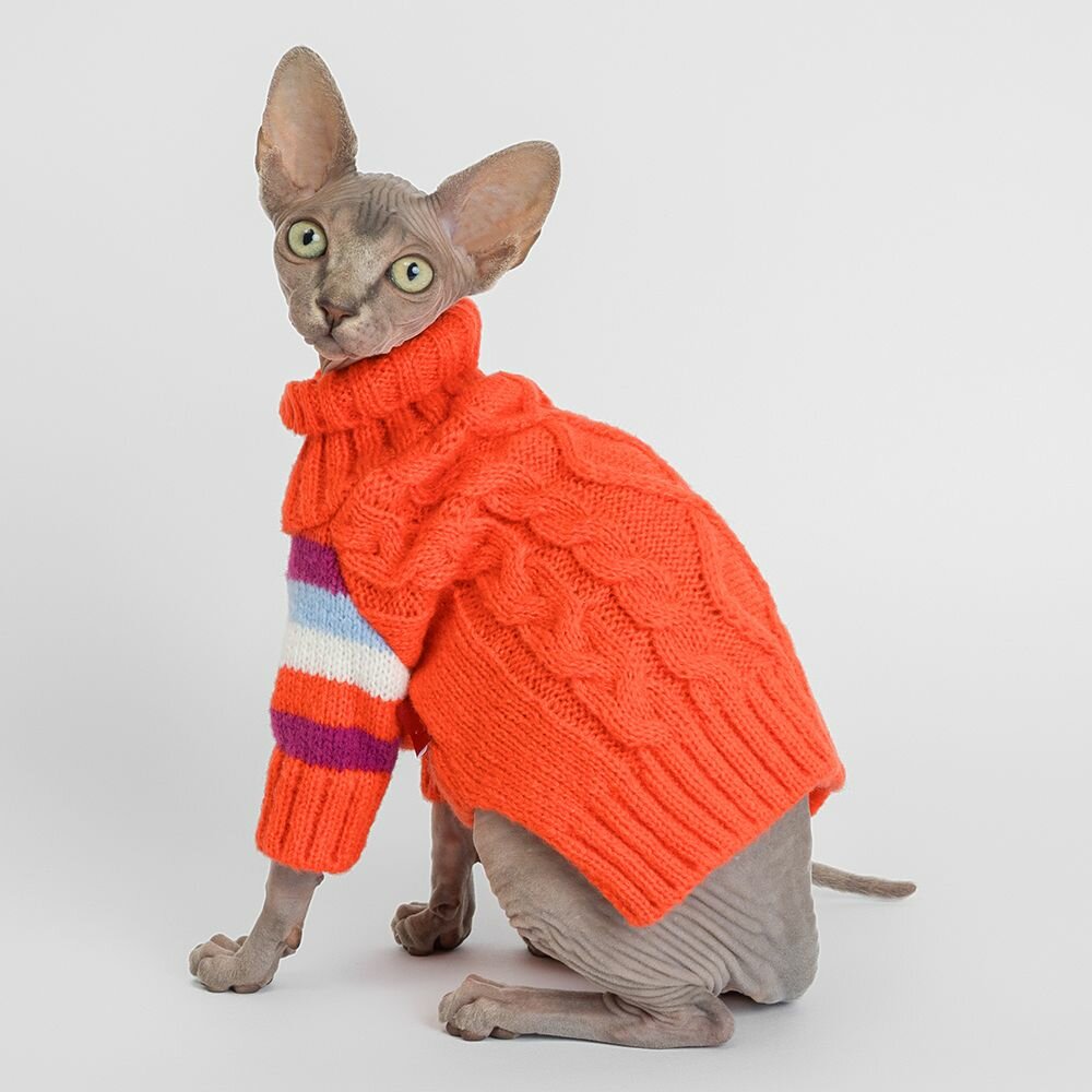 PETMAX Свитер для кошек и собак, S, оранжевый