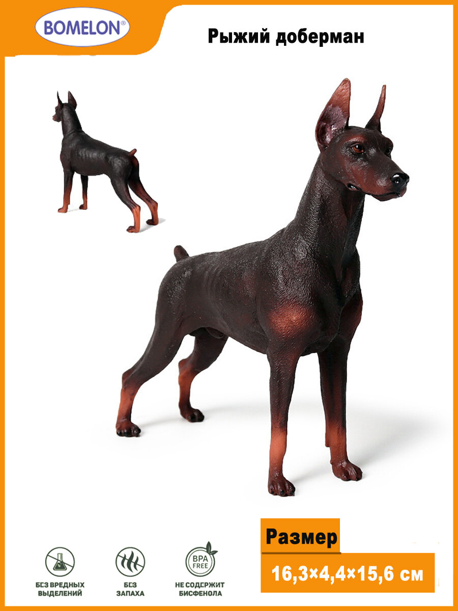 Фигурки домашних животных, Рыжий доберман 16 см Большой(Red Doberman), Реалистичная фигурка собаки , Безопасный пластик, развивающие игрушки для детей 3+